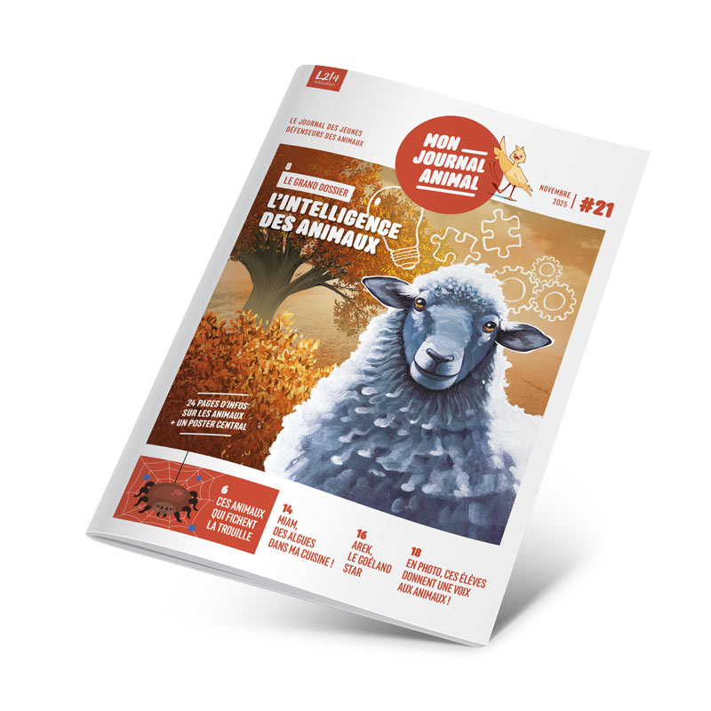 Mon journal animal n°21 • Boutique L214